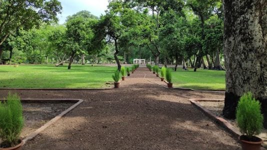 Chhatimtala | Shantiniketan - What to Expect | Timings | Tips - Trip ...