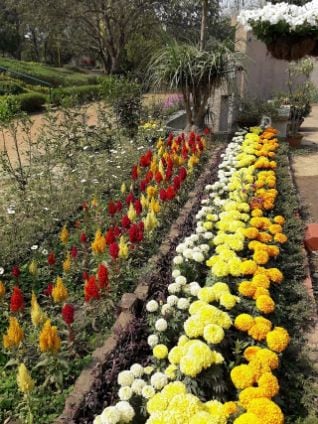 Shyor Bithi Park | Shantiniketan - What to Expect | Timings | Tips ...