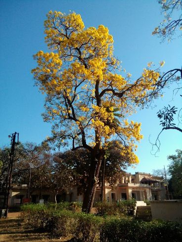 Singha Sadan | Shantiniketan - What to Expect | Timings | Tips - Trip ...