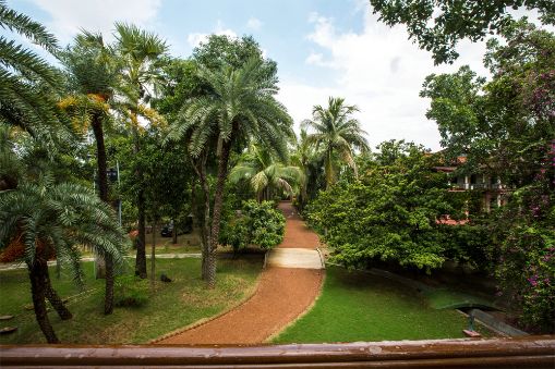 The Garden Bungalow | Shantiniketan - What to Expect | Timings | Tips ...