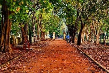 Visva Bharati University | Shantiniketan - What to Expect | Timings ...