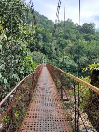 Double-Decker Bridge | Shillong - What to Expect | Timings | Tips ...