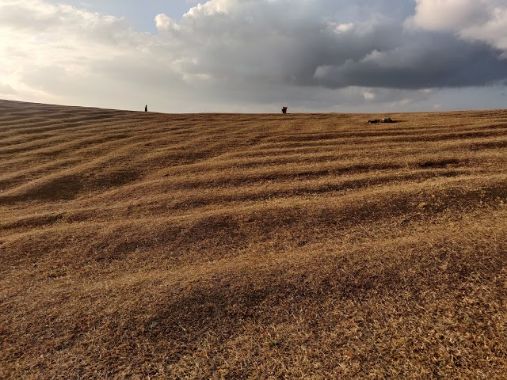 Laitlum Canyons | Shillong - What to Expect | Timings | Tips - Trip ...