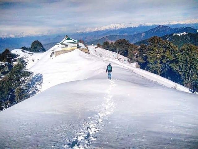 Hatu Peak | Shimla - What to Expect | Timings | Tips - Trip Ideas by ...