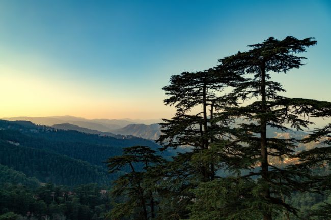 Green Valley | Shimla - What to Expect | Timings | Tips - Trip Ideas by ...