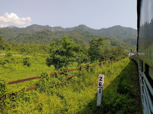 Mahananda Wildlife Sanctuary | Siliguri - What to Expect | Timings ...