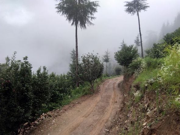 Habban Valley | Solan - What to Expect | Timings | Tips - Trip Ideas by ...