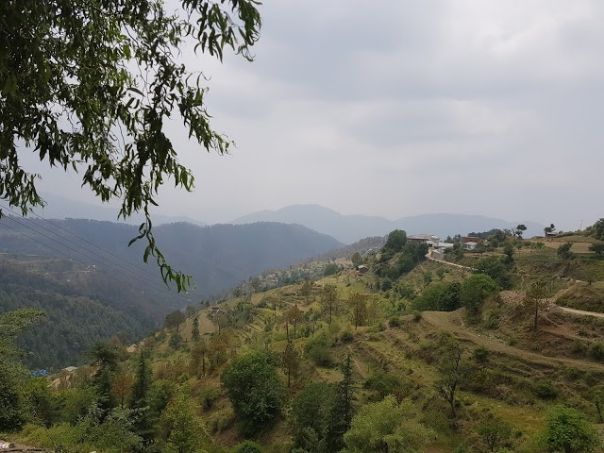Habban Valley | Solan - What to Expect | Timings | Tips - Trip Ideas by ...