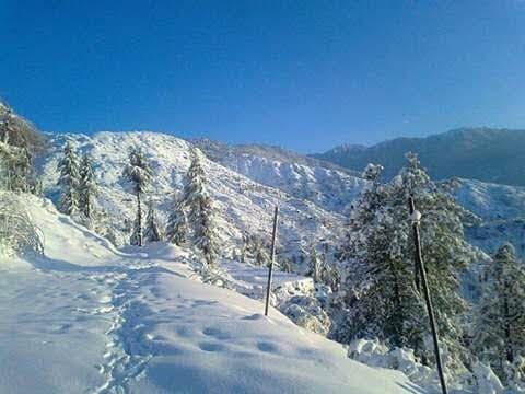 Habban Valley | Solan - What to Expect | Timings | Tips - Trip Ideas by ...