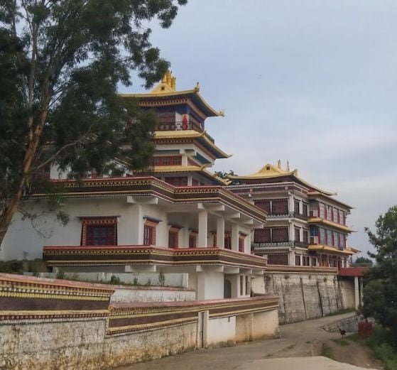 Menri Monastery | Solan - What to Expect | Timings | Tips - Trip Ideas ...