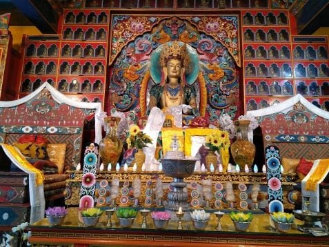 Menri Monastery | Solan - What to Expect | Timings | Tips - Trip Ideas ...