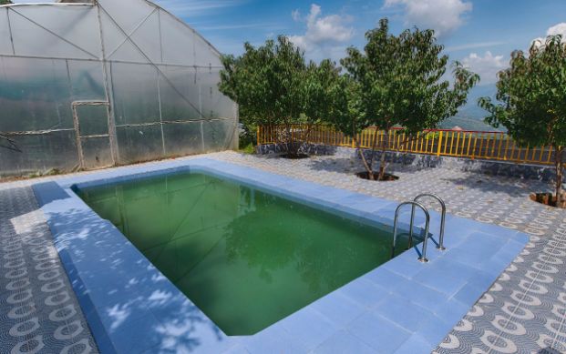 Sherpa Eco Resort | Solan - What to Expect | Timings | Tips - Trip ...