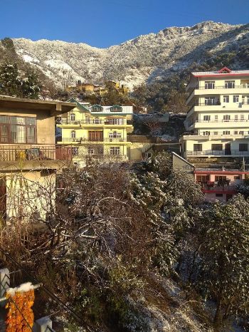 Solan Brewery | Solan - What to Expect | Timings | Tips - Trip Ideas by ...