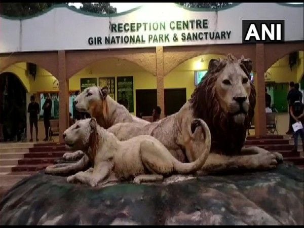 Gir National Park | Somnath - What to Expect | Timings | Tips - Trip ...