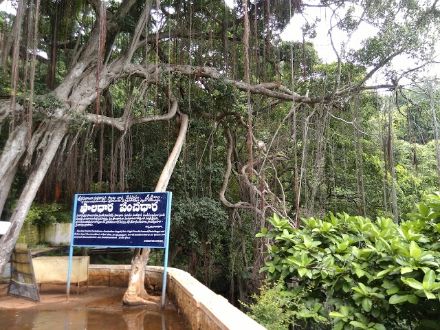 Unwind at Phaladhara Panchadhara | Srisailam - What to Expect | Timings ...
