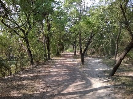 Piyali Island | Sunderbans - What to Expect | Timings | Tips - Trip ...