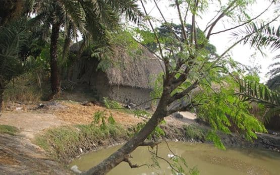 Piyali Island | Sunderbans - What to Expect | Timings | Tips - Trip ...