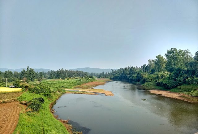 Purna Wildlife Sanctuary | Surat - What to Expect | Timings | Tips ...