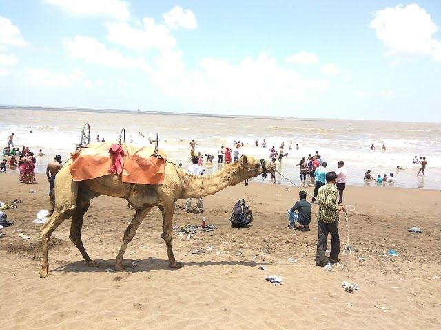 Ubharat|Umbharat Beach, Surat - Things to Do, Timings & Photos