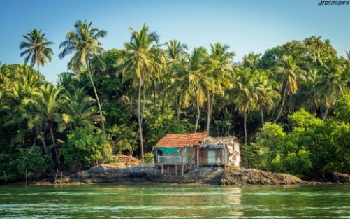 Karli Backwaters | Tarkarli - What to Expect | Timings | Tips - Trip ...