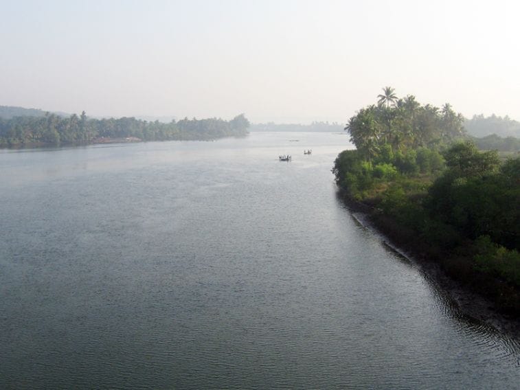 Karli Backwaters | Tarkarli - What to Expect | Timings | Tips - Trip ...