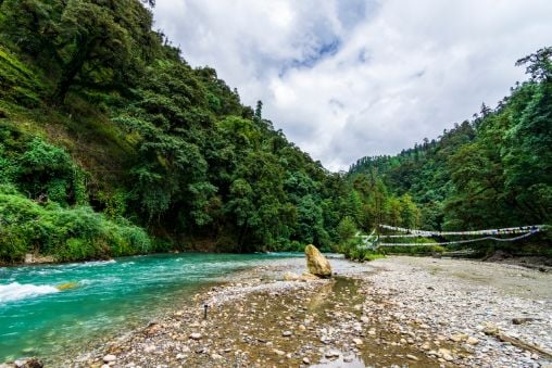Jigme Dorji National Park, Thimphu - Safari Timing, Ticket Fee & Photos