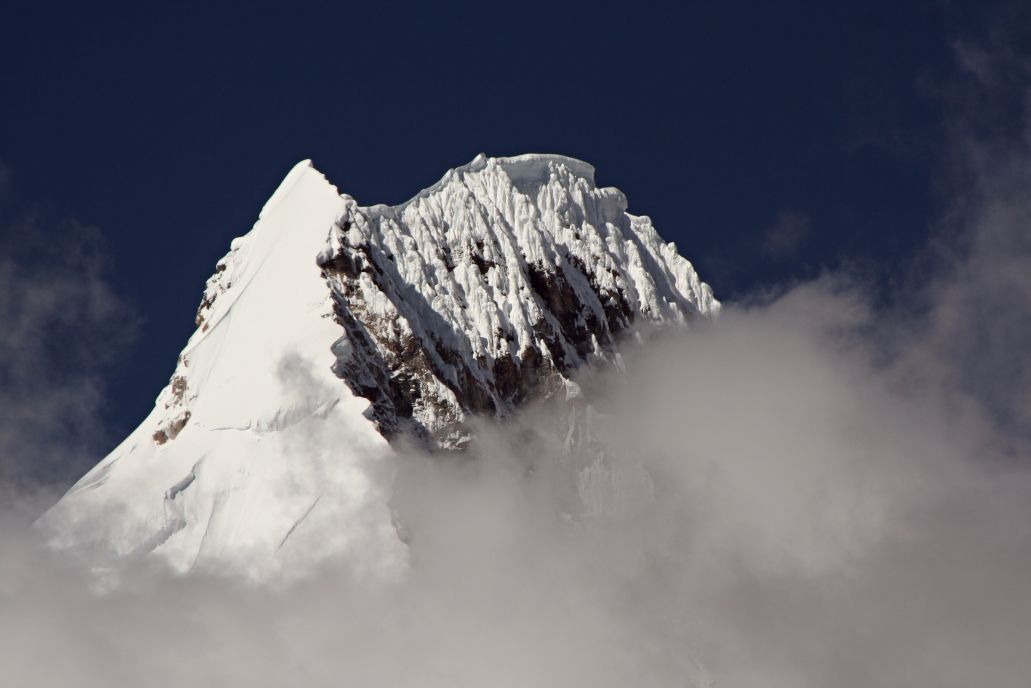 Jigme Dorji National Park, Thimphu - Safari Timing, Ticket Fee & Photos