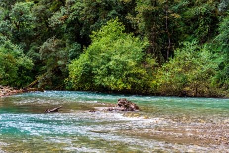 Jigme Dorji National Park, Thimphu - Safari Timing, Ticket Fee & Photos