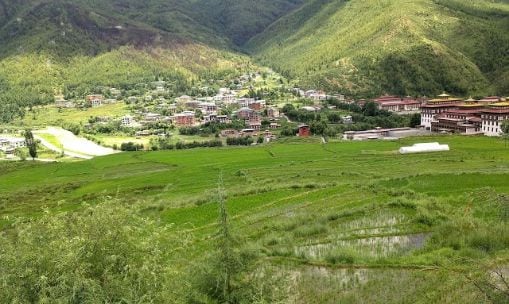 Tango Goemba | Thimphu - What to Expect | Timings | Tips - Trip Ideas ...