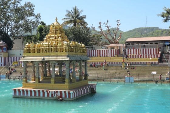 Swami Pushkarini Lake | Tirupati - What to Expect | Timings | Tips ...
