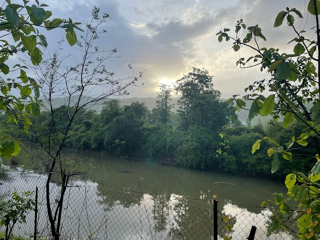 Durshet | Malshej Ghat - What to Expect | Timings | Tips - Trip Ideas ...