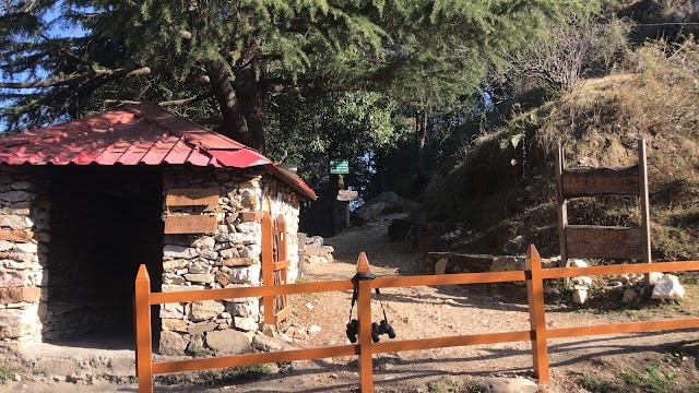 Jabarkhet Nature Reserve | Mussoorie - What to Expect | Timings | Tips ...