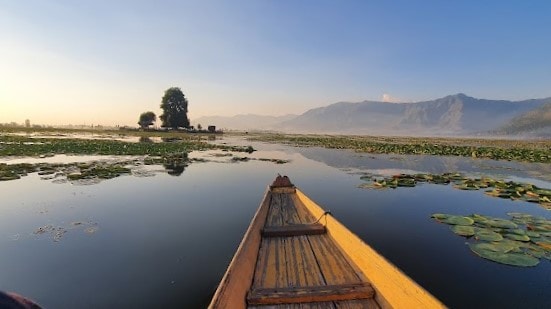 Char Chinar | Srinagar - What to Expect | Timings | Tips - Trip Ideas ...