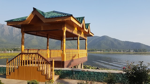 Char Chinar | Srinagar - What to Expect | Timings | Tips - Trip Ideas ...