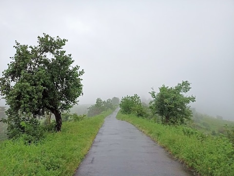 Malshej Ghat | Best Time to Visit | Top Things to Do | Book Your Trip ...