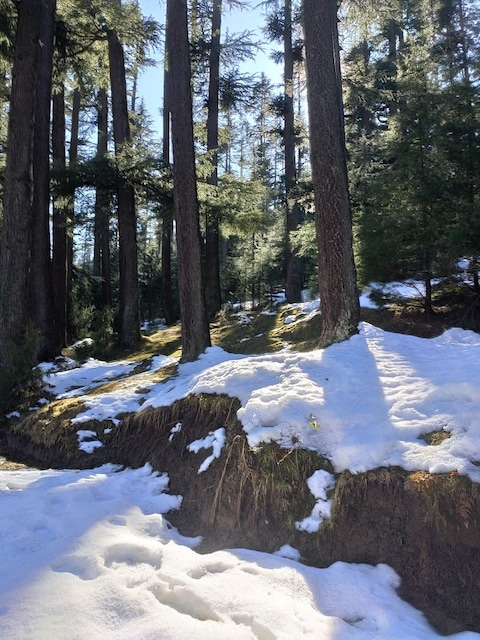 40 Places to Visit in Manali in 2025 | Top Tourist Attractions & Places