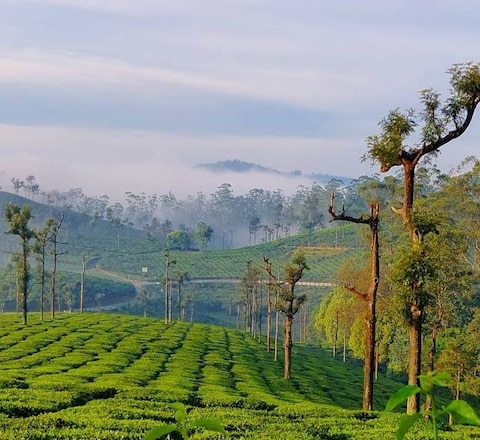 25 Places to Visit in Tirupur| Tirupur Tourist Places & Nearby Spots ...