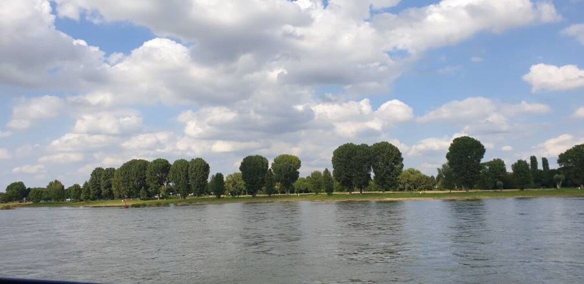 River Rhine Cruise | Cologne - What to Expect | Timings | Tips - Trip ...