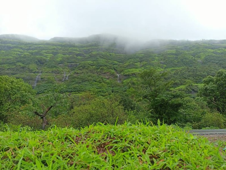 Tamhini Ghat Waterfalls | Kolad - What to Expect | Timings | Tips - Trip Ideas by MakeMyTrip