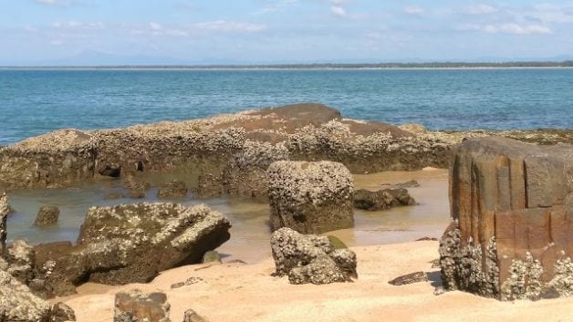 Malpe Beach Near Udupi, Udupi - Things to Do, Timings & Photos