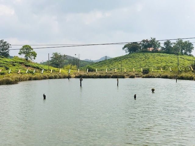 Boating on Vagamon Lake | Vagamon - What to Expect | Timings | Tips ...