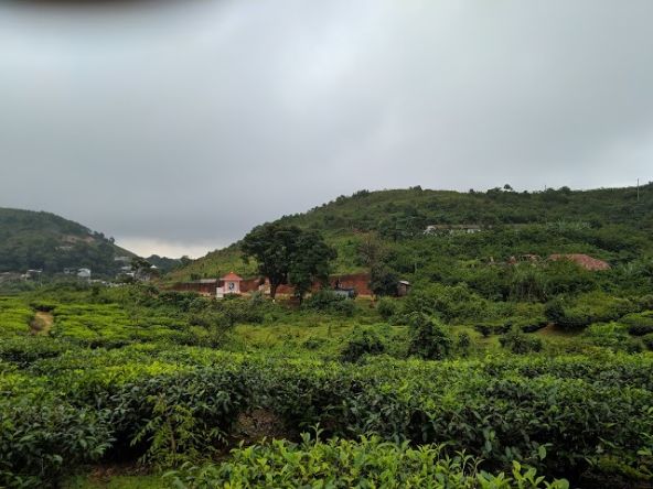 Boating on Vagamon Lake | Vagamon - What to Expect | Timings | Tips ...