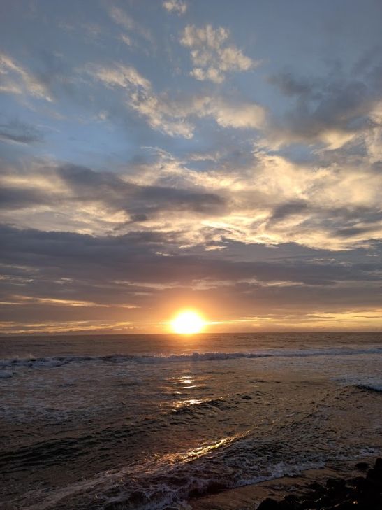 Kappil Lake | Varkala - What to Expect | Timings | Tips - Trip Ideas by ...