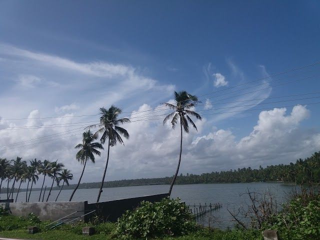 Kappil Lake | Varkala - What to Expect | Timings | Tips - Trip Ideas by ...