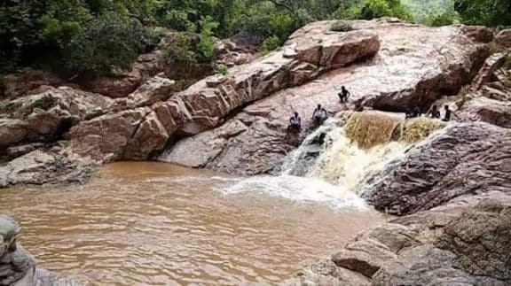 Amirthi Zoological Park | Vellore - What to Expect | Timings | Tips ...