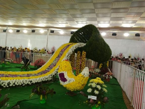 VUDA Park | Visakhapatnam (Vizag) - What to Expect | Timings | Tips ...