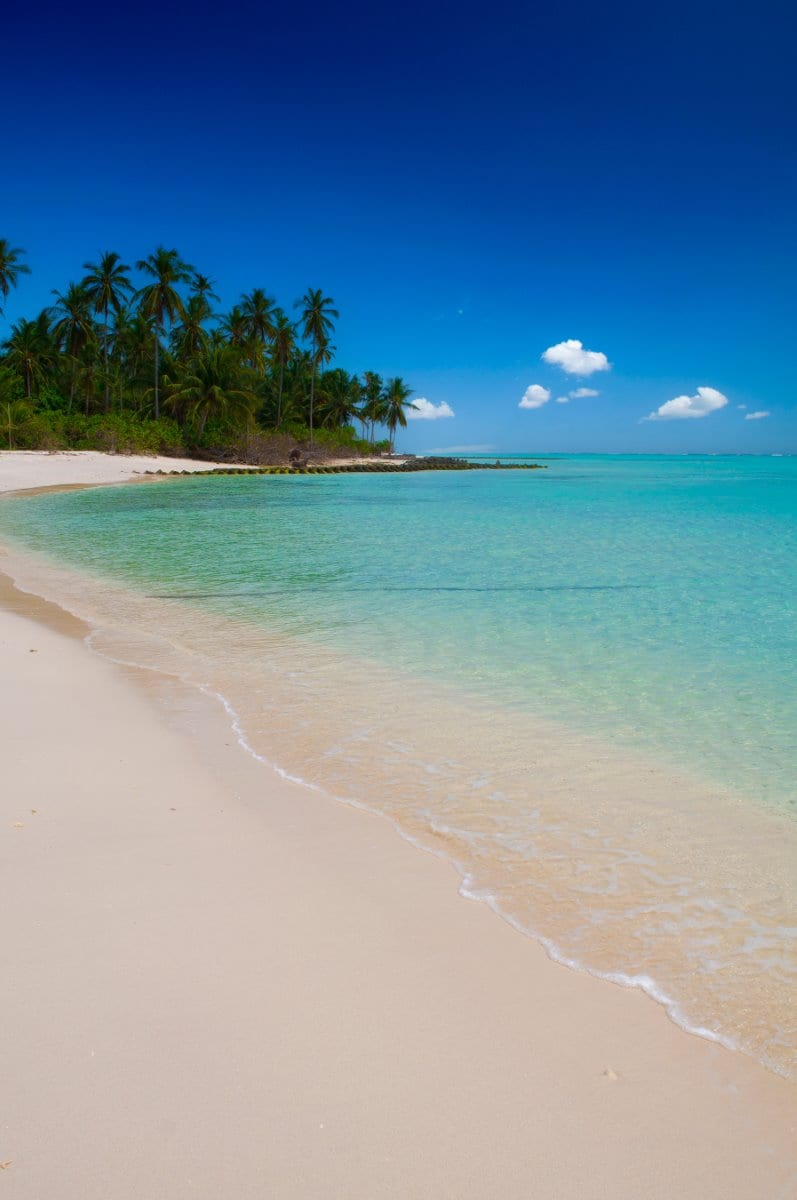 Top 10 Beaches in India for a Tropical Getaway