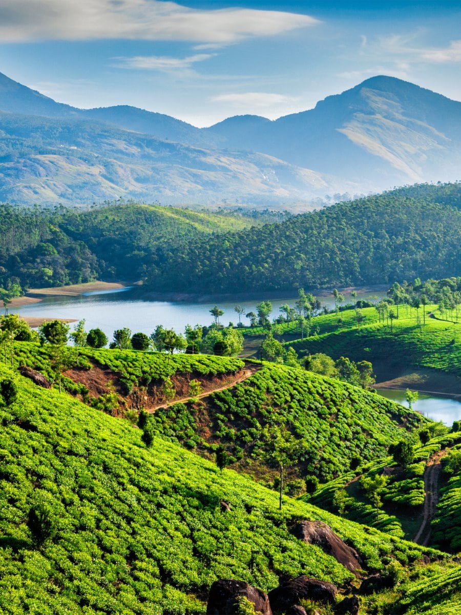 Top Tourist Places & Exciting Things to Do in Munnar