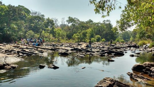 Kuruva Island | Wayanad - What to Expect | Timings | Tips - Trip Ideas ...