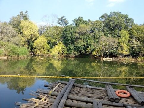 Kuruva Island | Wayanad - What to Expect | Timings | Tips - Trip Ideas ...